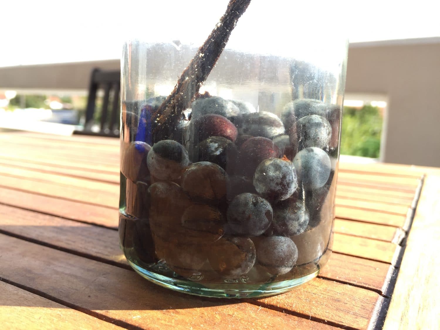 Fabriquer son patxaran (liqueur de prune sauvage) - Paysbasque.net