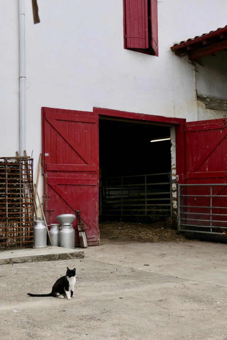 Les couleurs du Pays basque : origine et usages - Paysbasque.net