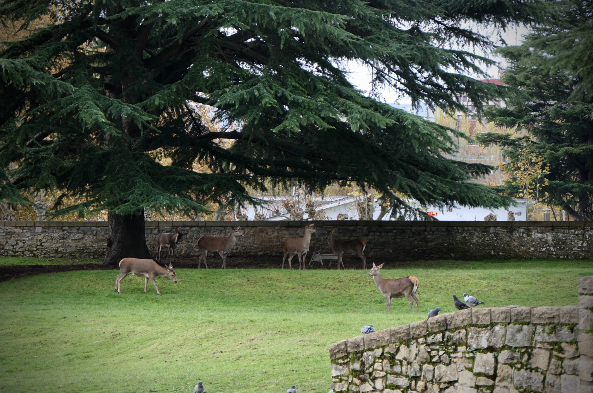 Une balade à Pampelune - Paysbasque.net
