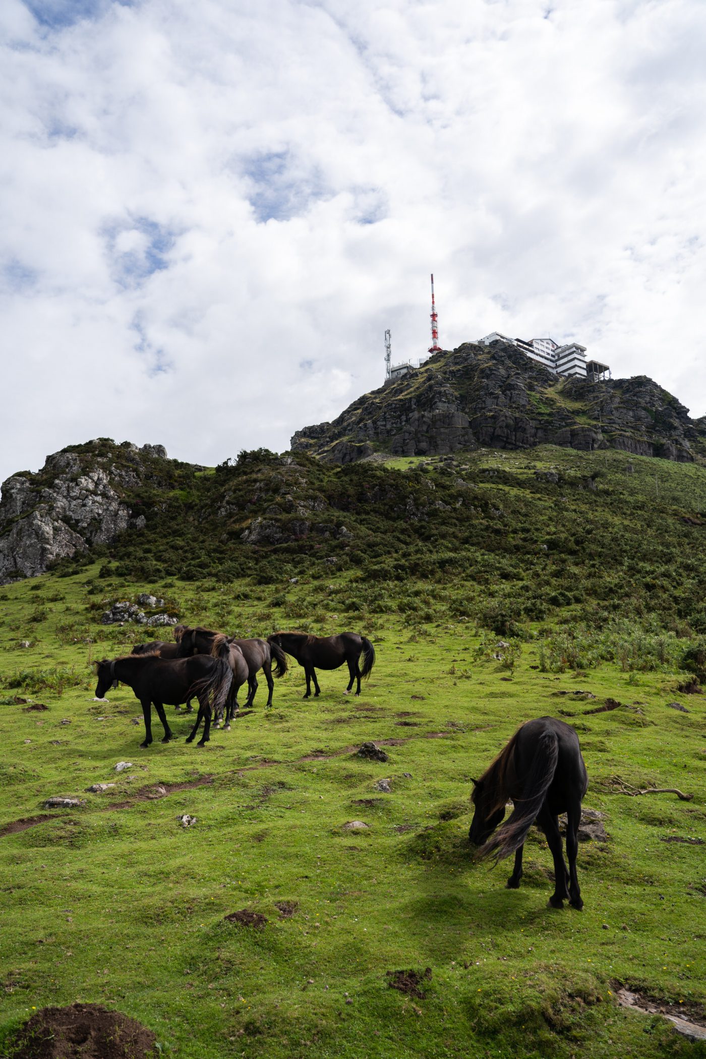 LE POTTOK, UNE RACE AUX ORIGINES ANCESTRALES EN PÉRIL - Paysbasque.net